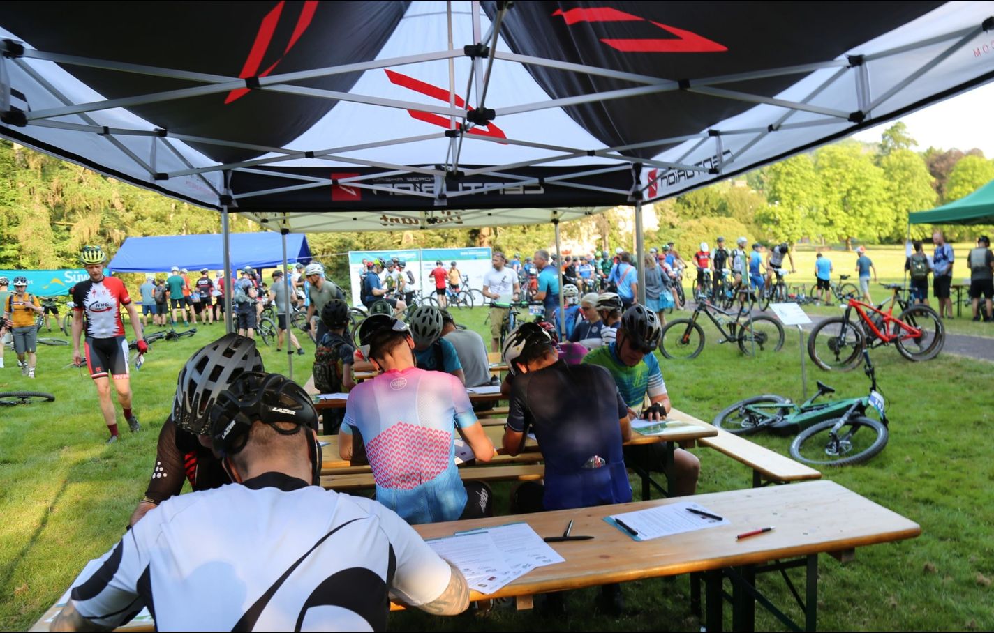 Dashboard | SPOFERAN