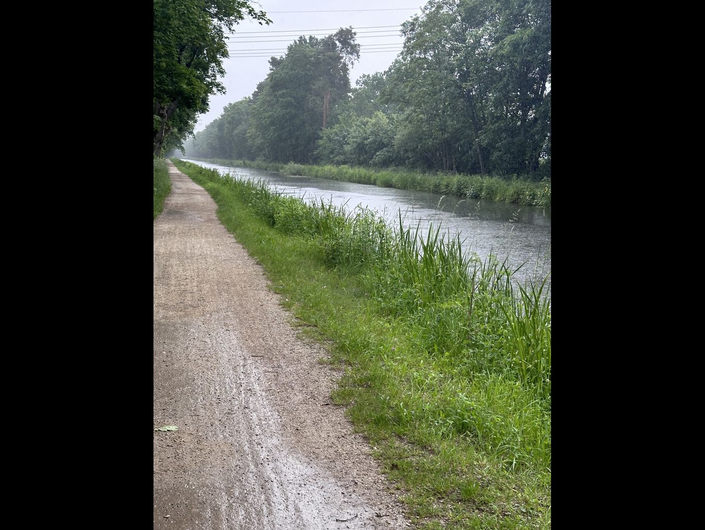 Dashboard | SPOFERAN