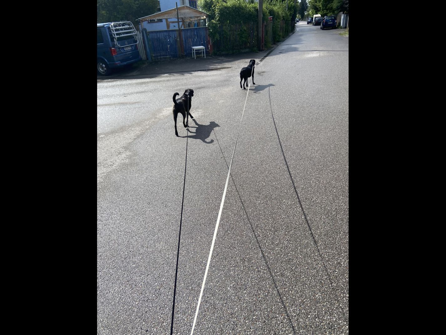 Dashboard | SPOFERAN